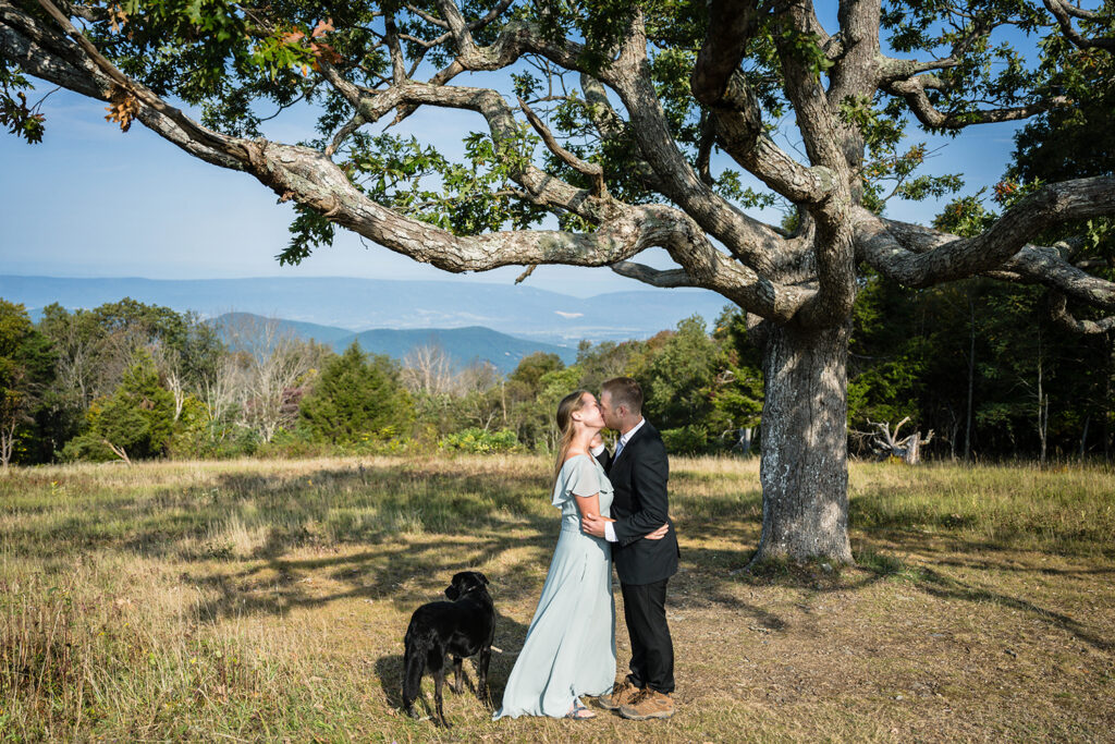 A Tanners Ridge Overlook Elopement in Shenandoah National Park